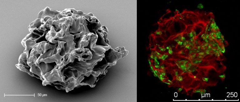 Newland Research – Materials for Neuroscience